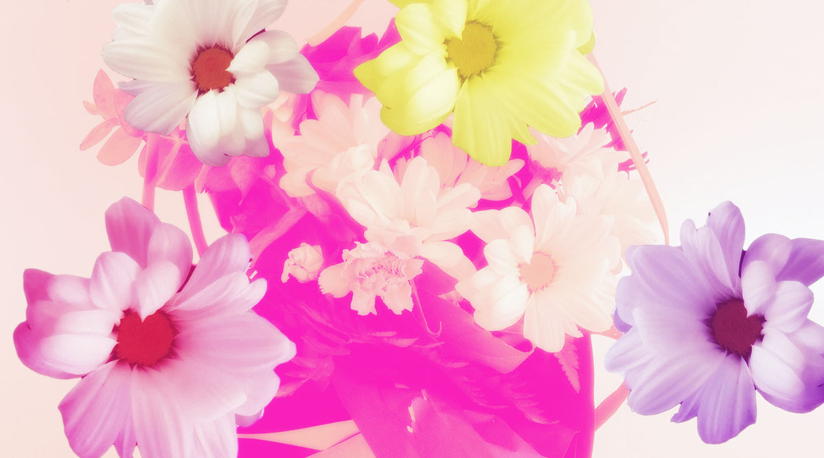 Send Flowers - Luxury Flower Delivery Toronto Same Day - MY FLOWERS